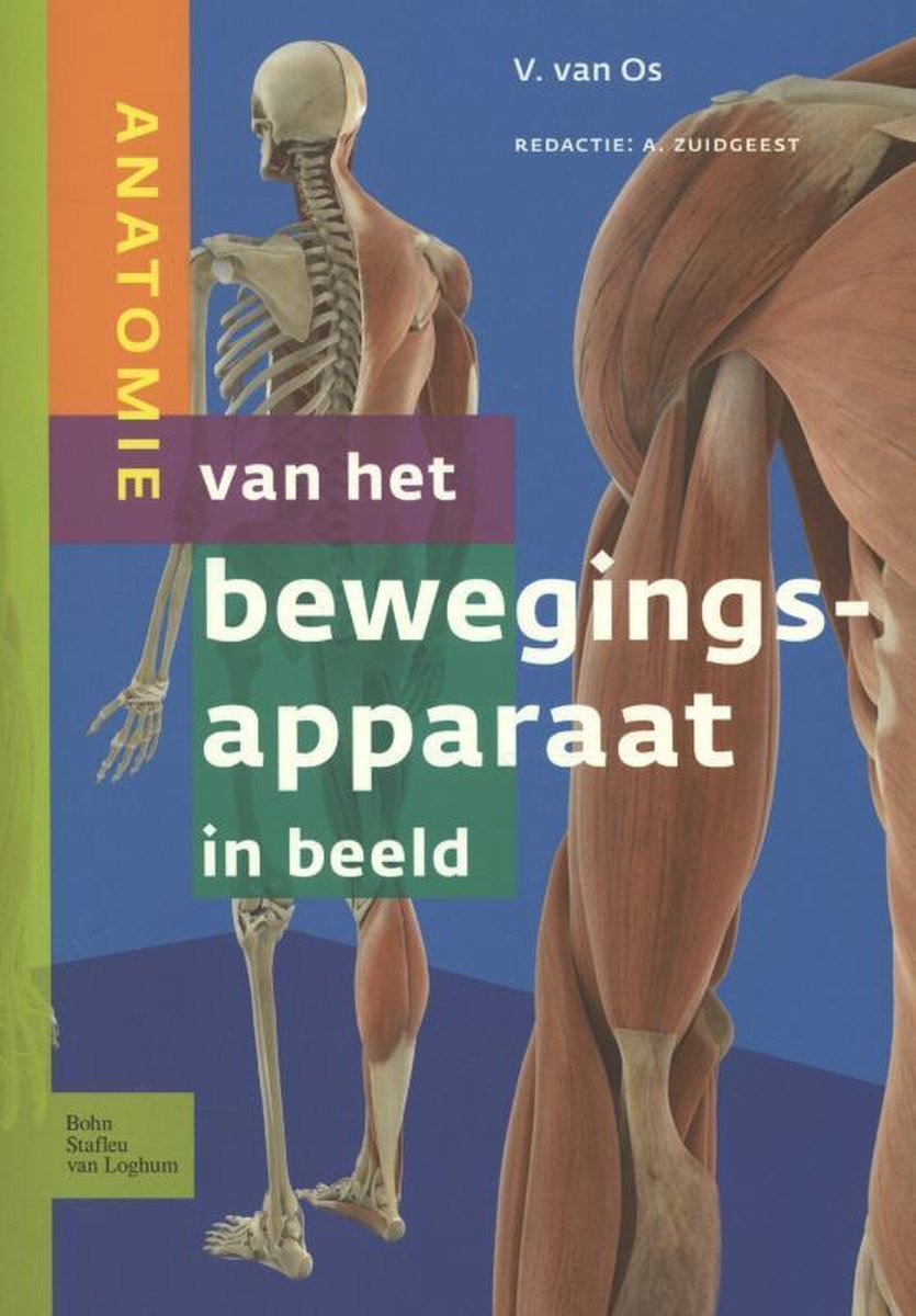 Bohn Stafleu Van Loghum Anatomie van het bewegingsapparaat in beeld ... Bohn Stafleu Van Loghum Anatomie van het bewegingsapparaat in beeld ...